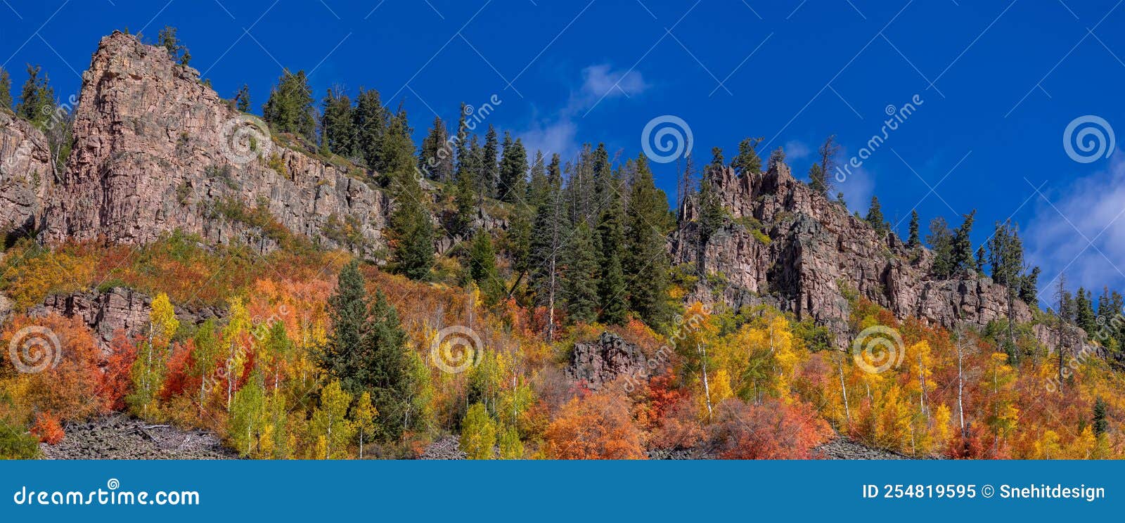 Uinta Wasatch Cache National Forest, Utah Stock Image - Image of plant ...