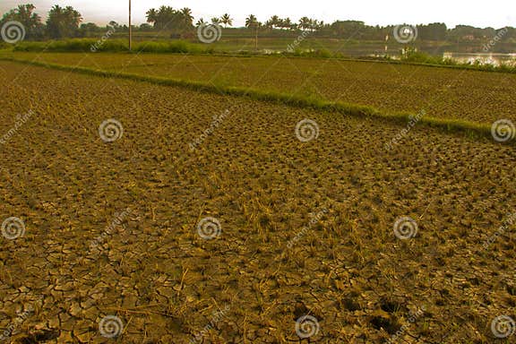 Uitgedroogde Aarde stock afbeelding. Image of aarde, indië - 12699417
