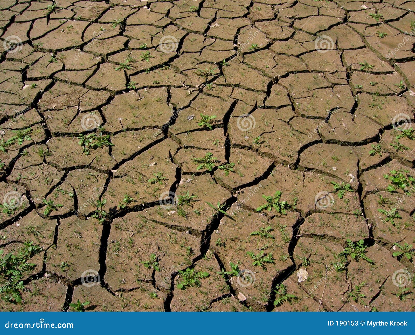 Uitgedroogde aarde stock afbeelding. Image of aarden, weer - 190153
