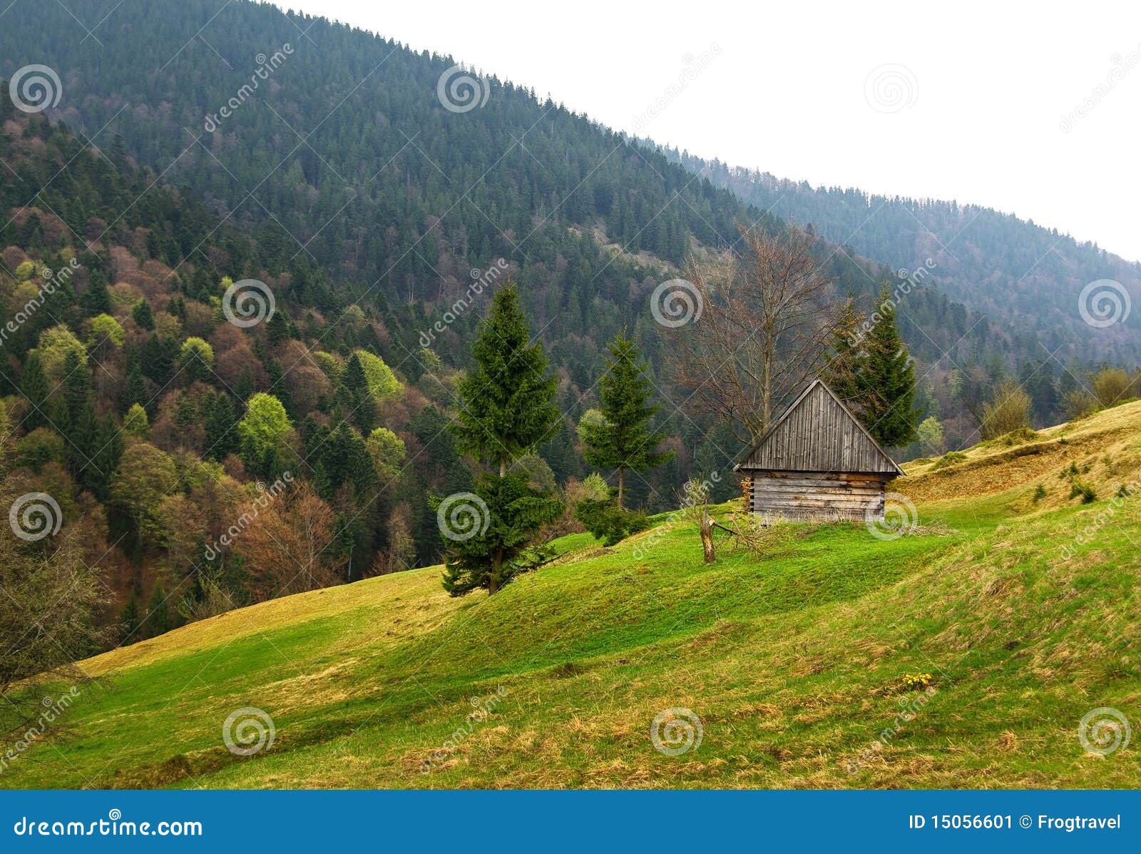 Ukraine Carpathian stock image. Image of nature, green - 15056601