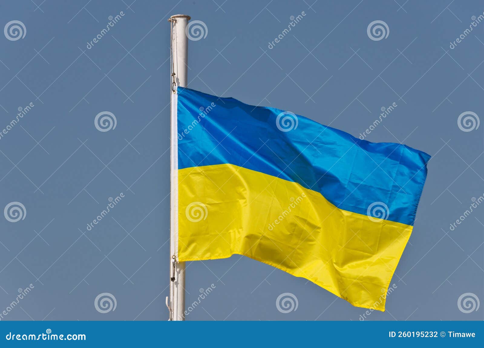 Ukraine Flag flying stock photo. Image of wheat, pride - 260195232