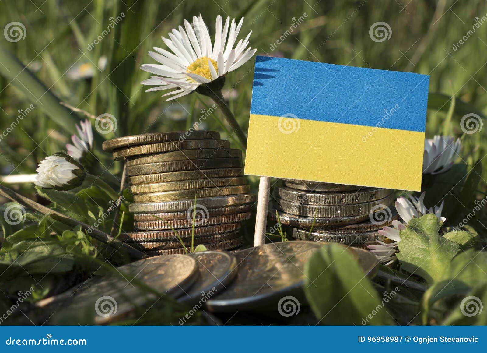 Ukraine Flag with Stack of Money Coins with Grass Stock Image - Image ...