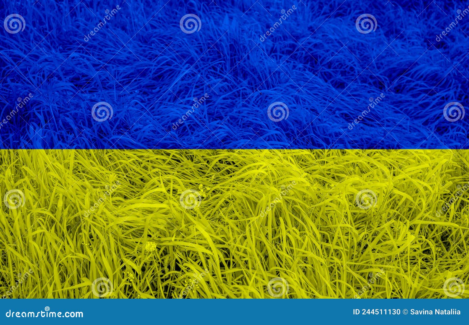 Ukraine Flag Yellow Blue Blue-yellow Color Stock Photo - Image of idea ...