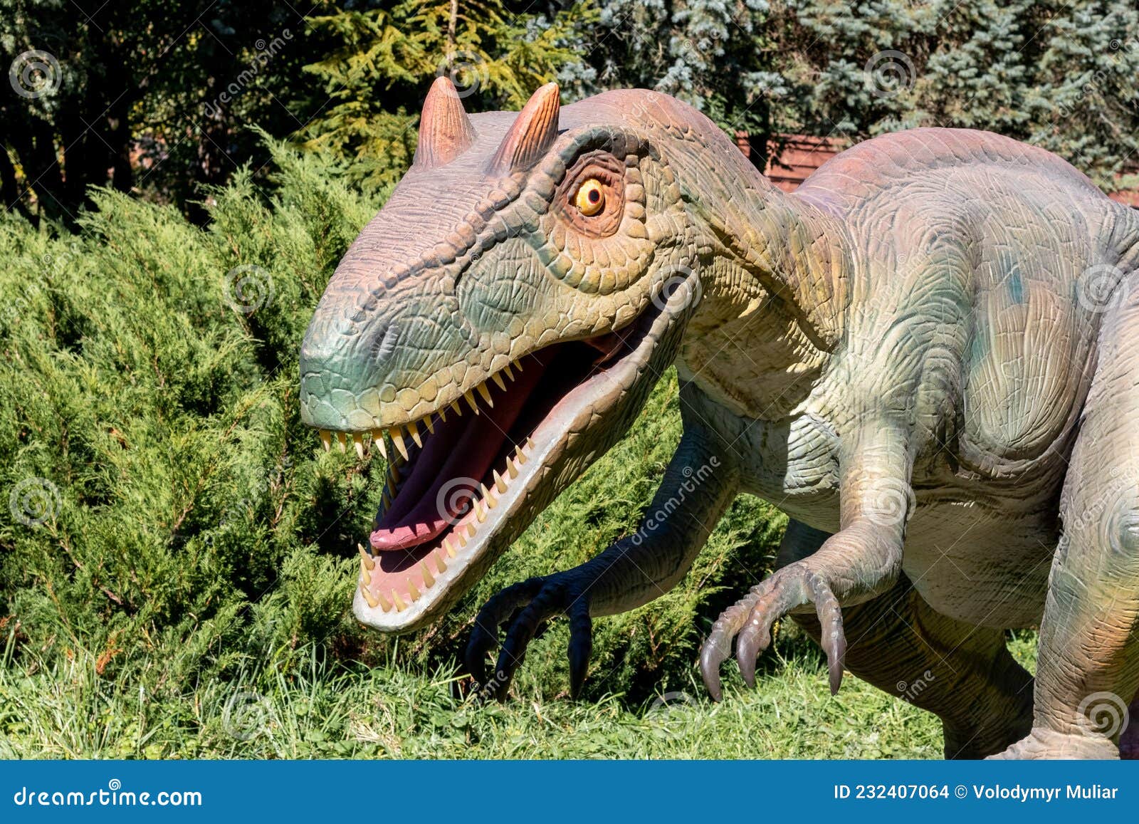 Sharp Teeth Of A Velociraptor Dinosaur Editorial Photo | CartoonDealer ...