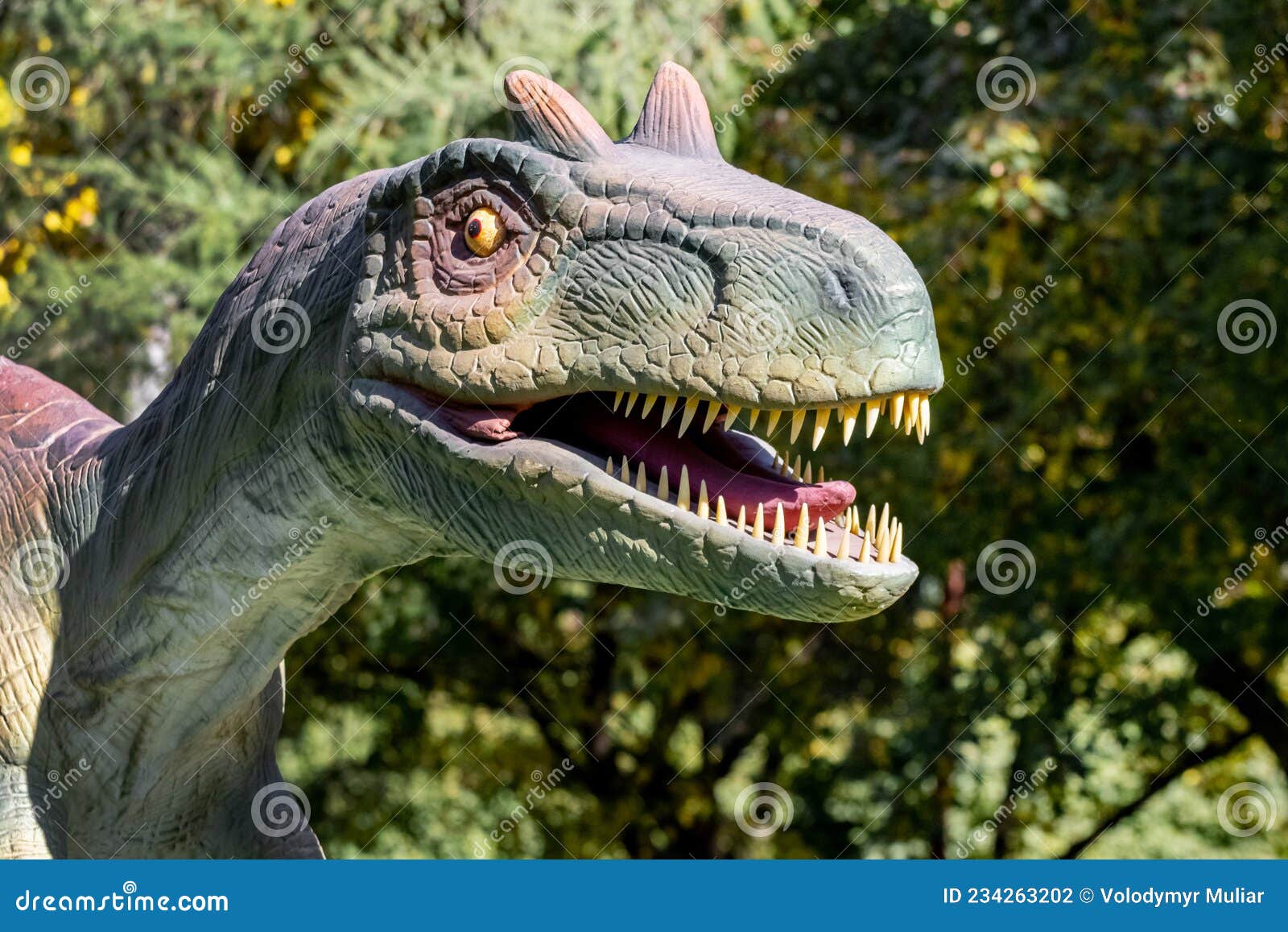 Sharp Teeth Of A Velociraptor Dinosaur Editorial Photo | CartoonDealer ...