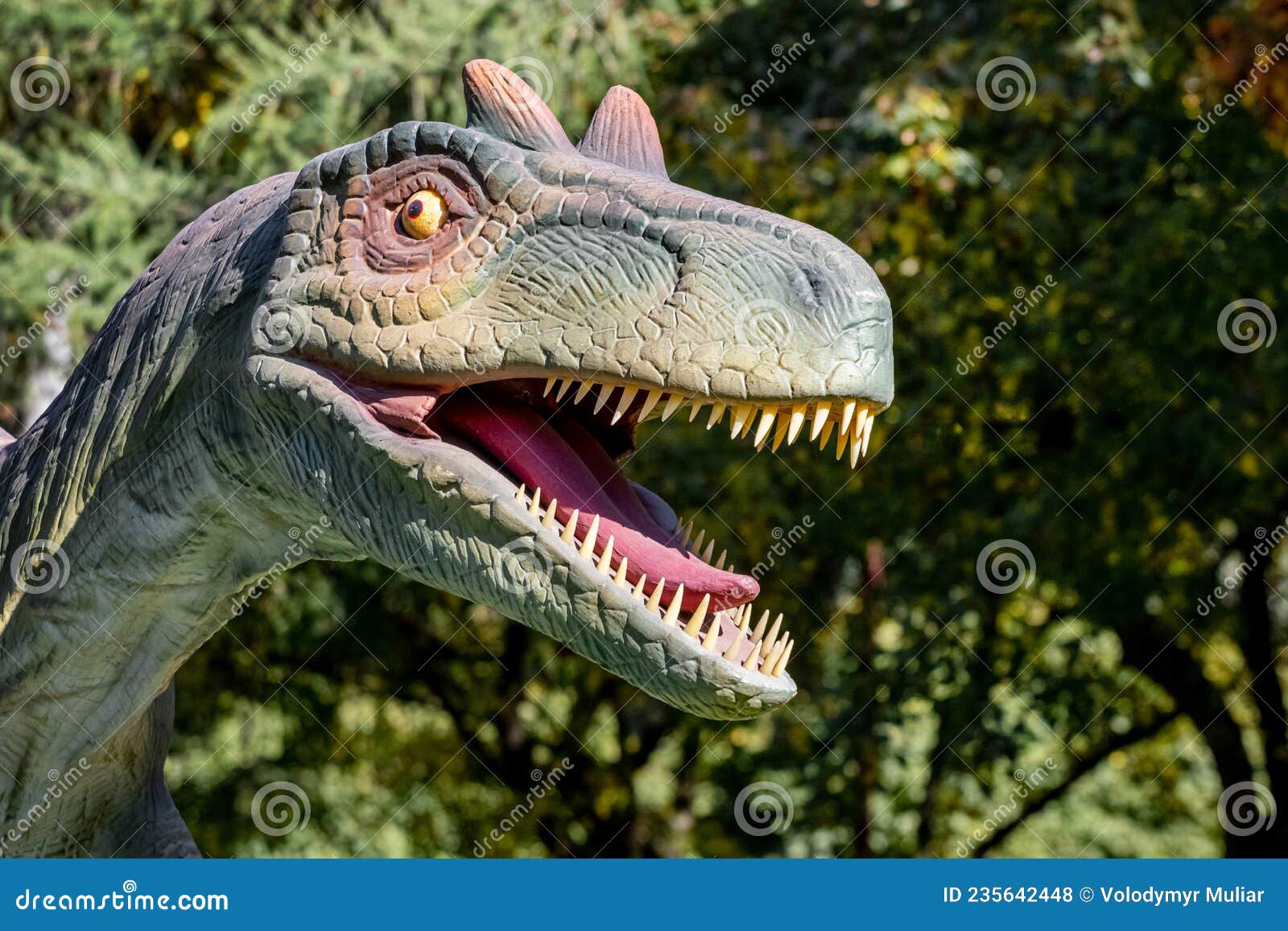 Ukraine, Khmelnitsky, October 2021. Dinosaur, Megaraptor Close Up with ...