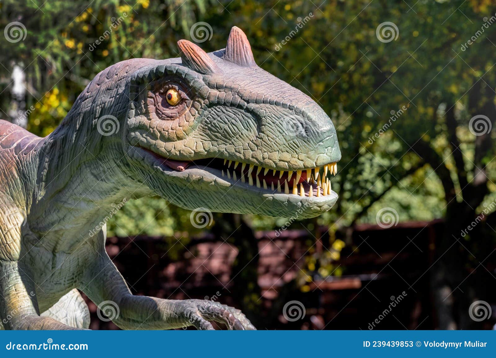 Ukraine, Khmelnitsky, October 2021. Dinosaur, Megaraptor Close Up with ...