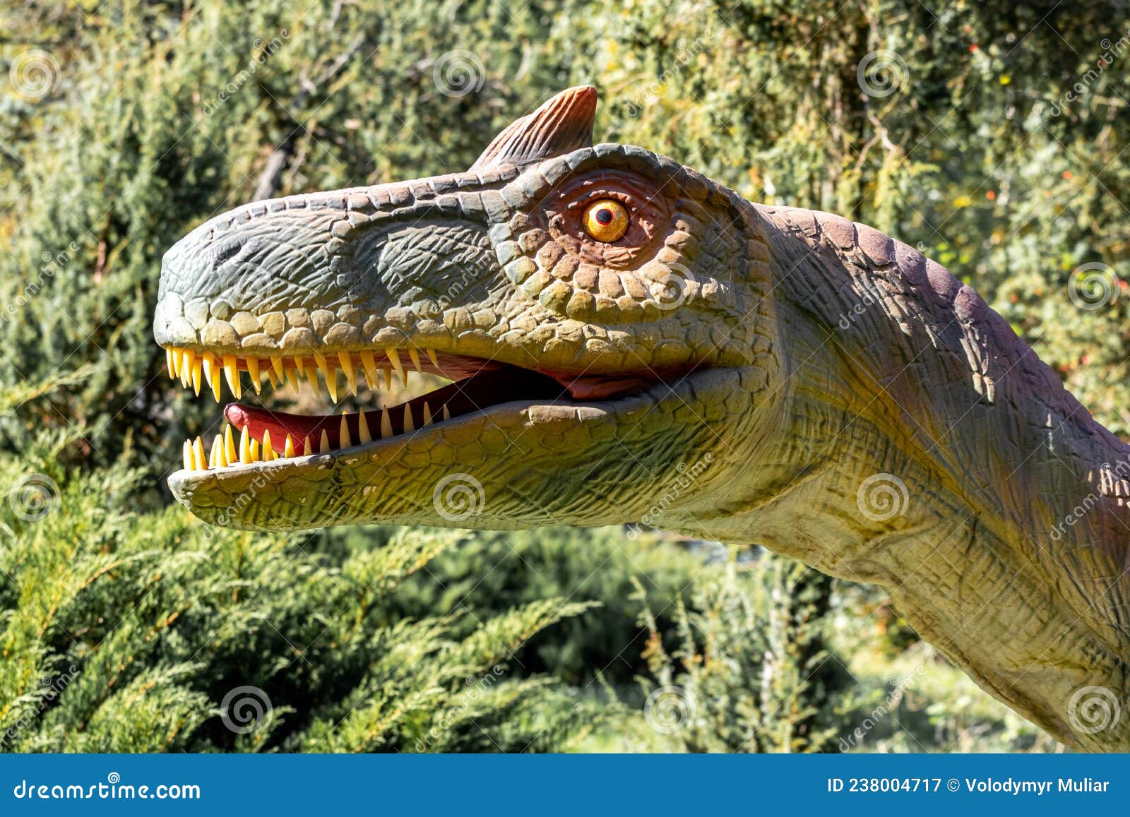 Ukraine, Khmelnitsky, October 2021. the Head of a Megaraptor with Sharp ...