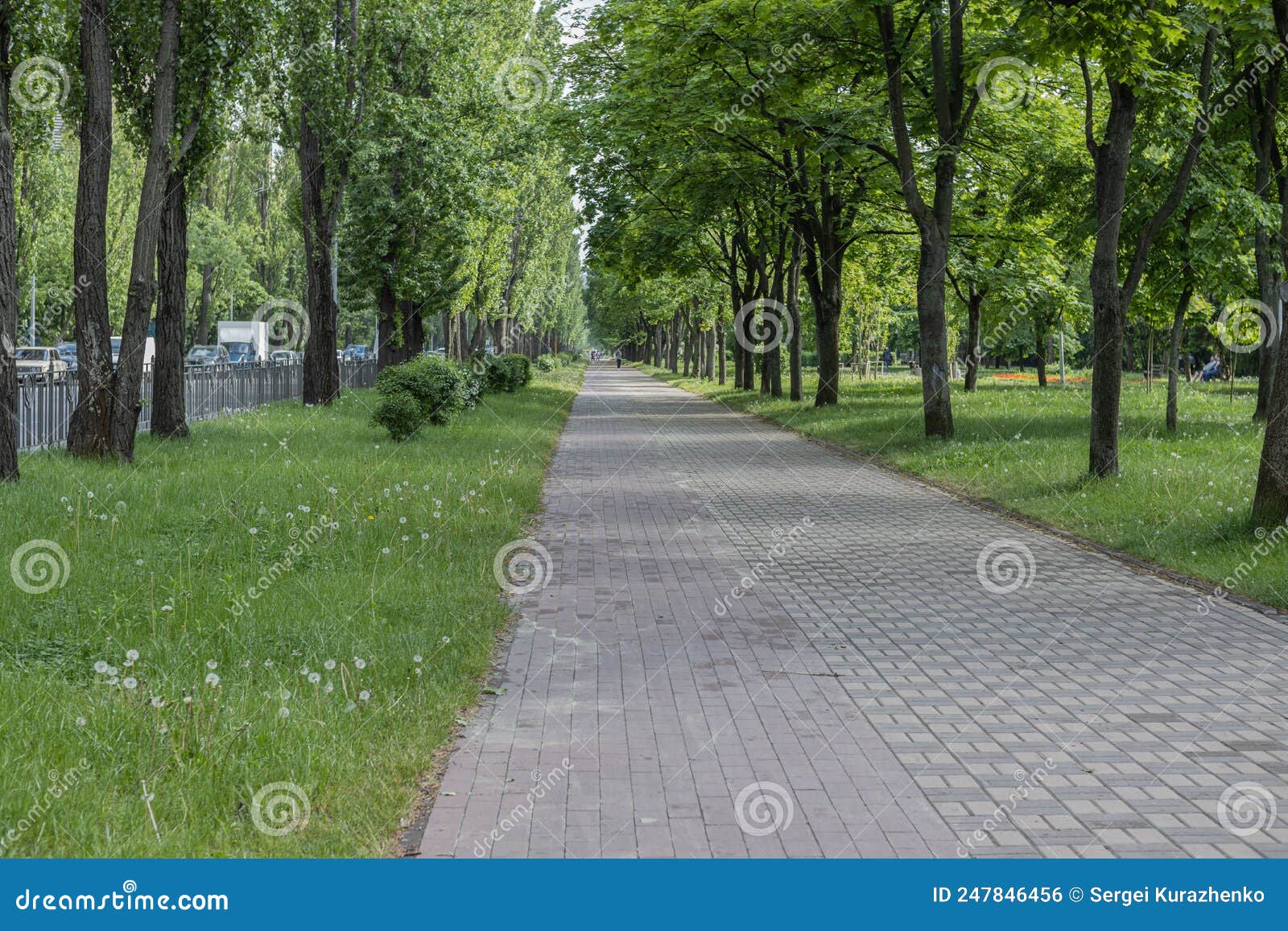 Beautiful Bike Path in the Park Stock Photo - Image of path, beautiful ...