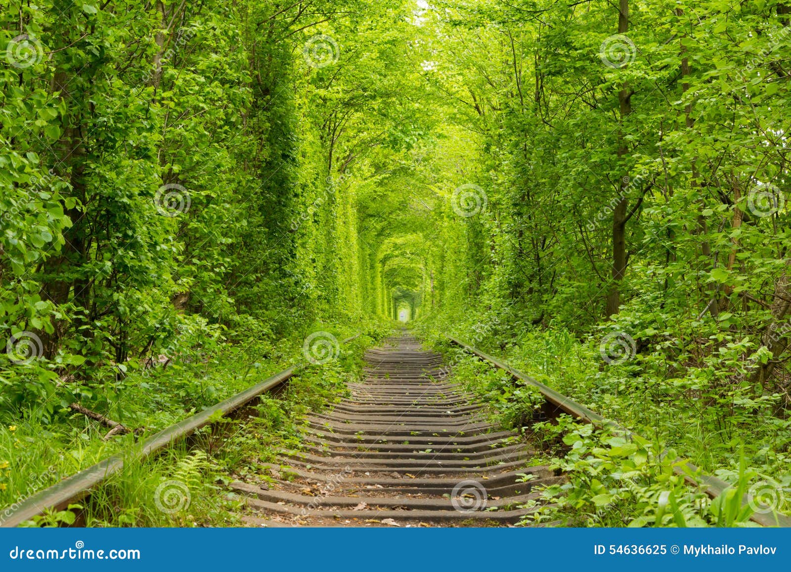 The Tunnel Of Love. Wonders Of Nature. A Natural Arch Formed By ...