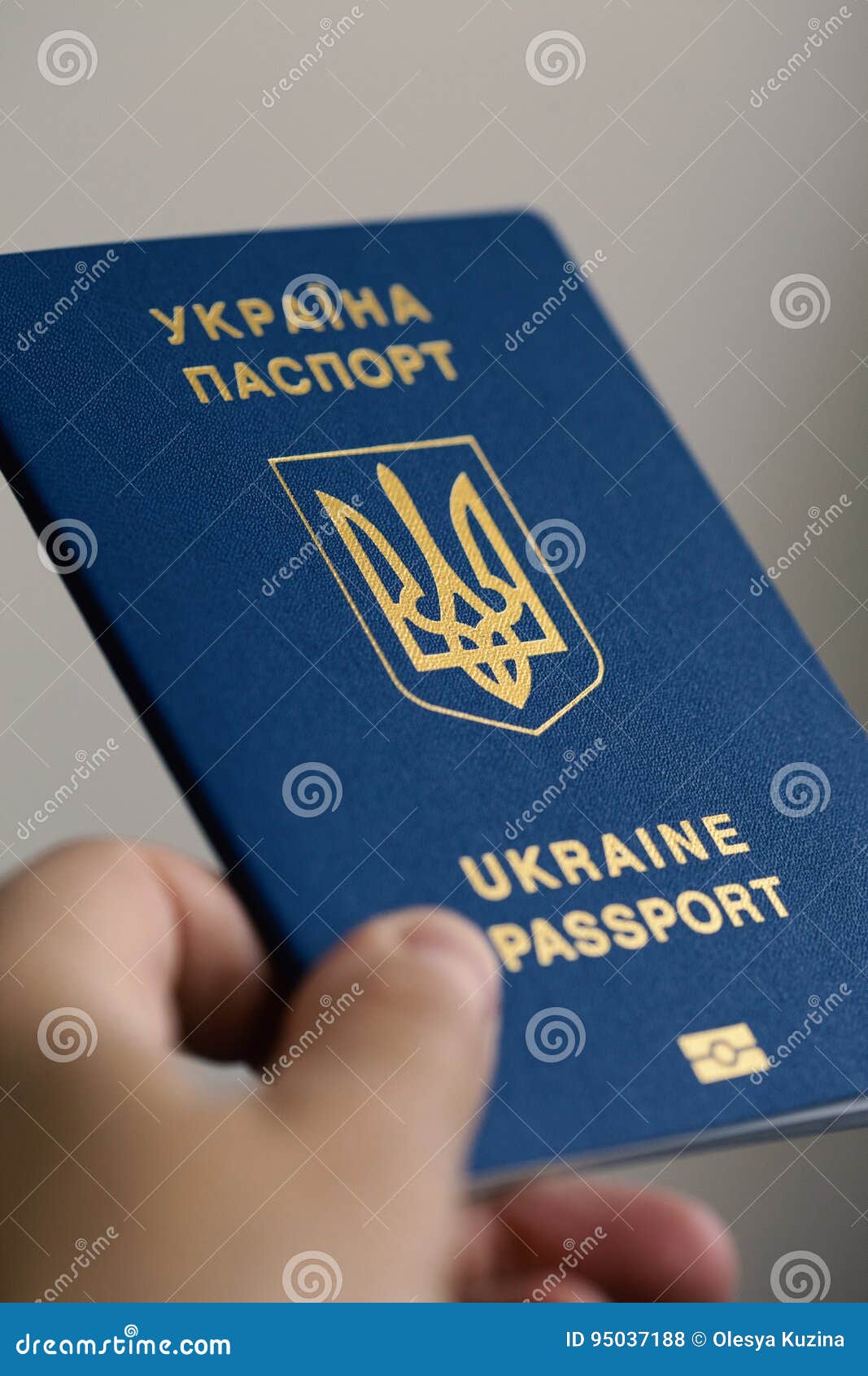 Ukrainian Biometric Passport Stock Photo - Image of sample, chip: 95037188