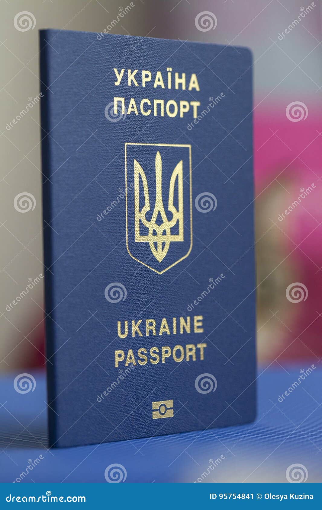 Ukrainian Biometric Passport Stock Image - Image of visa, sample: 95754841