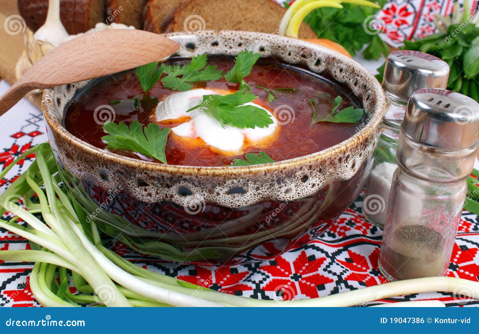 Ukrainian borsch stock photo. Image of herb, healthy - 19047386