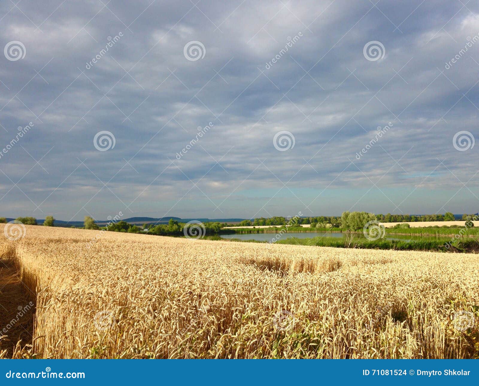 Ukrainian field stock photo. Image of beautiful, lake - 71081524