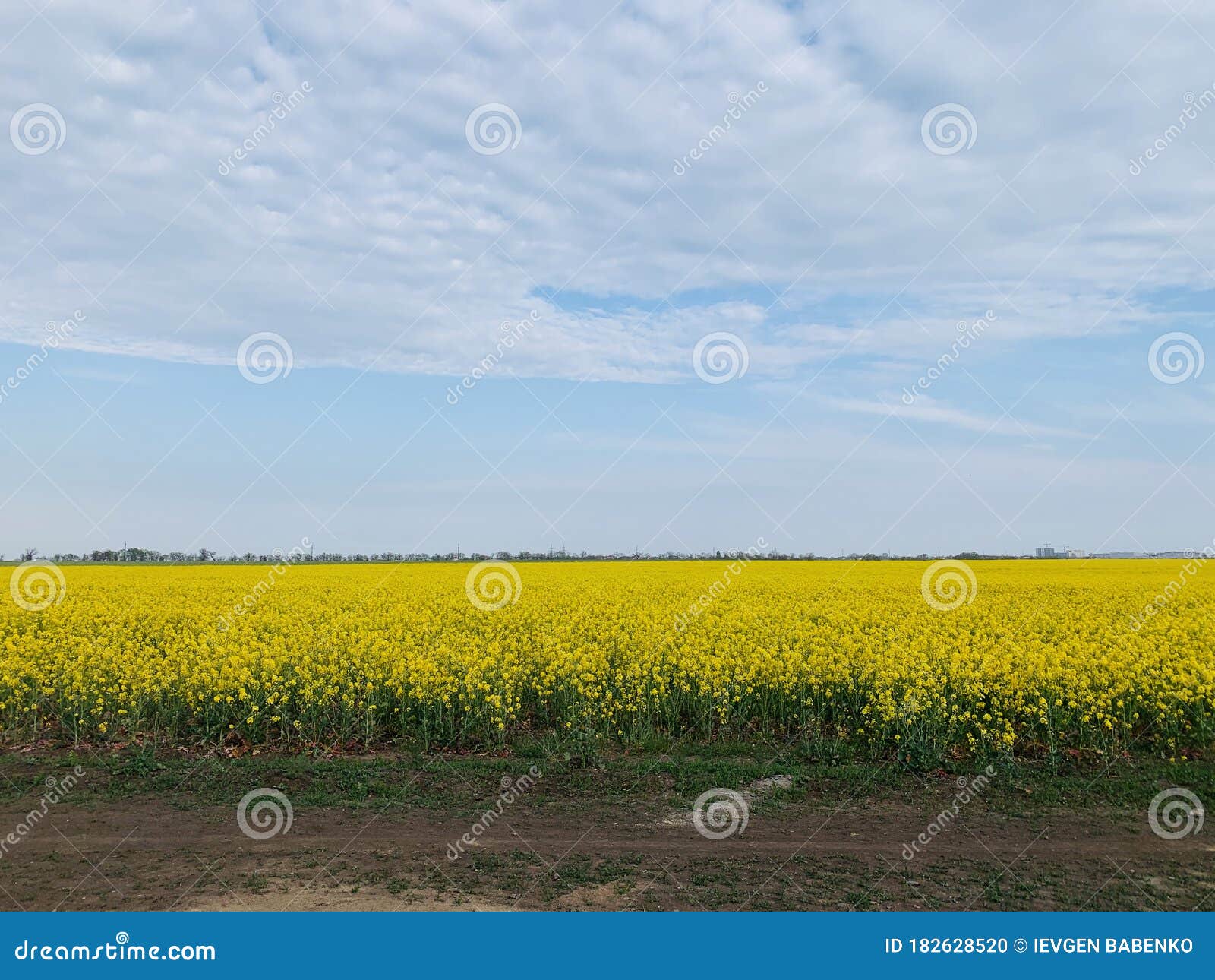 Ukrainian field stock photo. Image of nature, spring - 182628520
