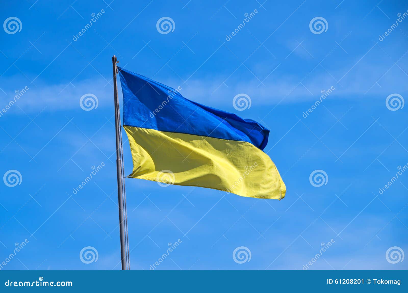 Ukrainian flag stock image. Image of emblem, freedom - 61208201