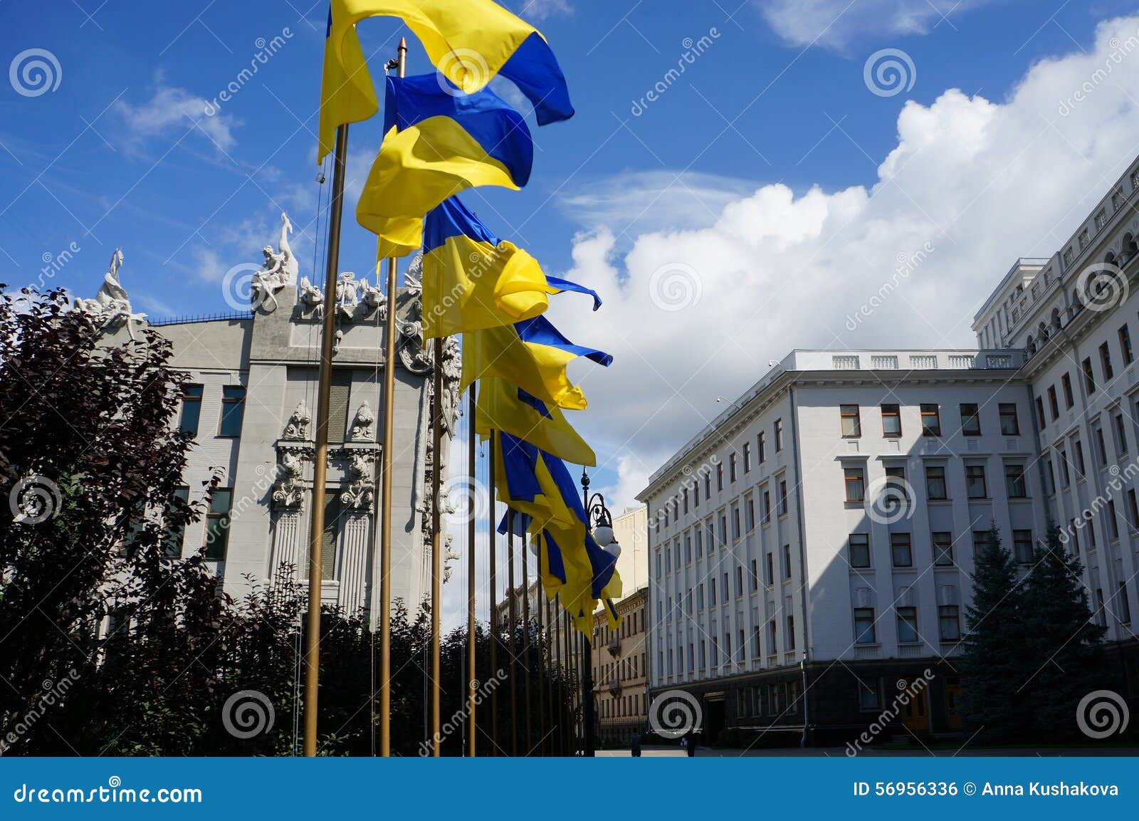 Ukrainian flag stock photo. Image of crisis, square, khreshchatyk ...
