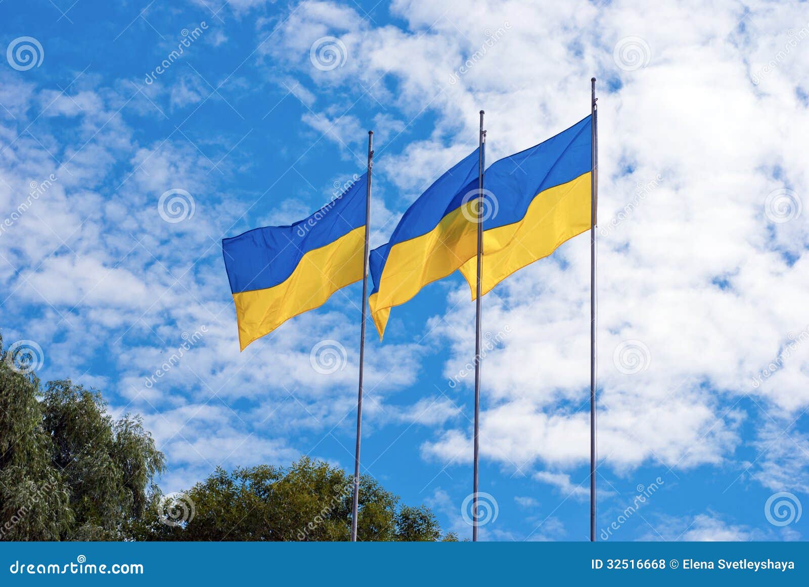 Ukrainian Flags Royalty-Free Stock Image | CartoonDealer.com #11481088