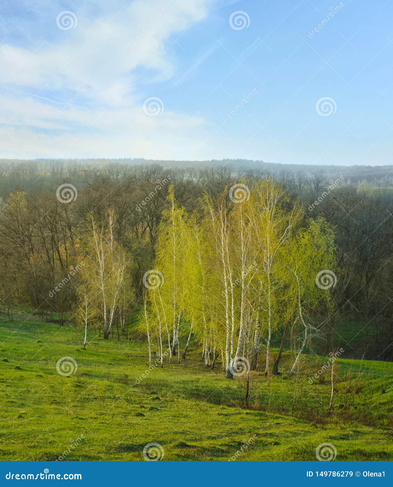 Spring landscape stock image. Image of meadow, ukraine - 149786279