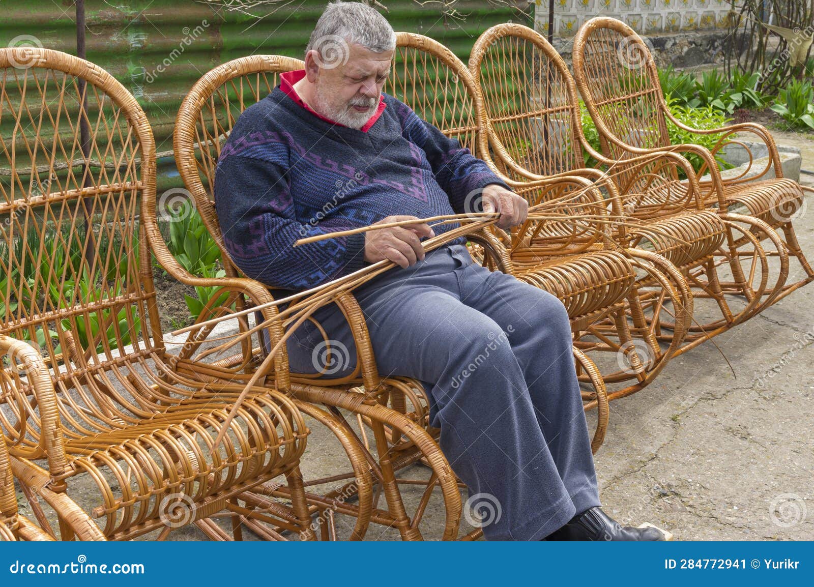 Ukrainian Man Sorting Withe while Making Whicker Rocking Chair in ...