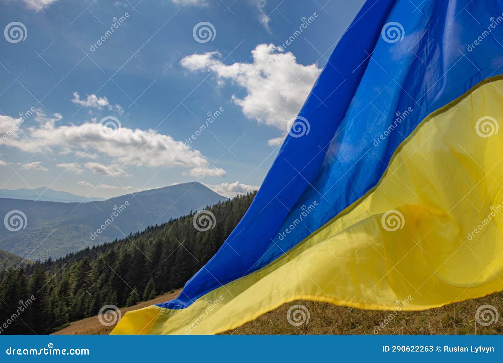 Ukrainian National Flag in Front Stock Image - Image of idyllic ...