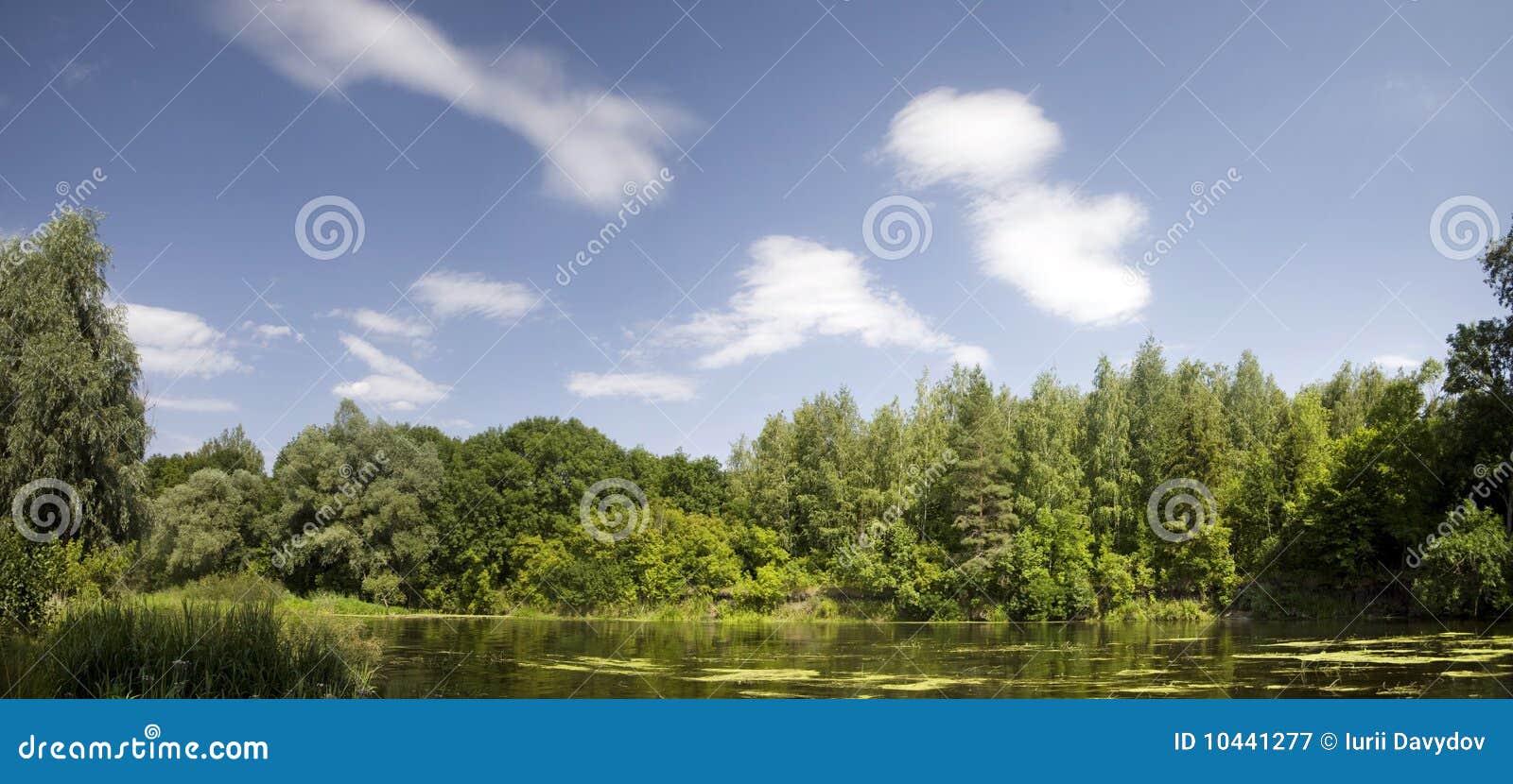 Ukrainian nature stock image. Image of panorama, scenery - 10441277