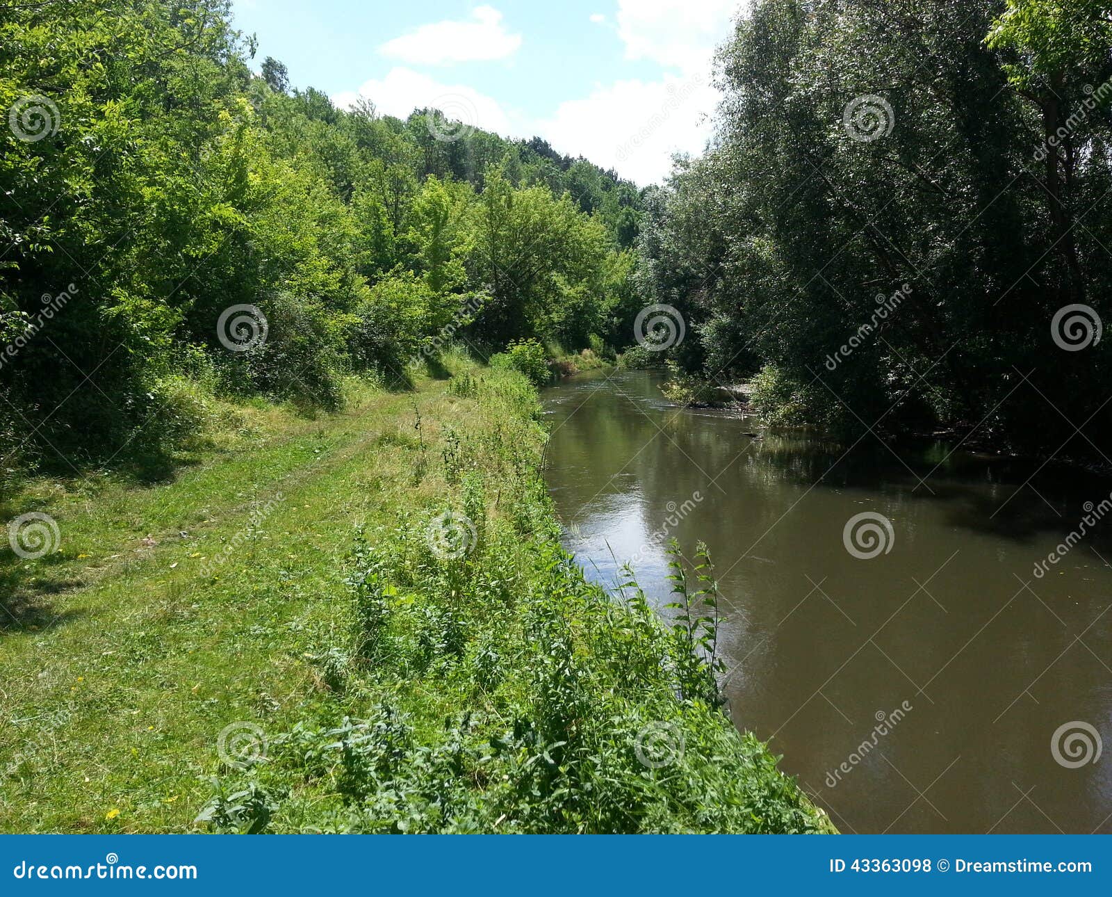 Ukrainian nature stock photo. Image of tree, landscape - 43363098
