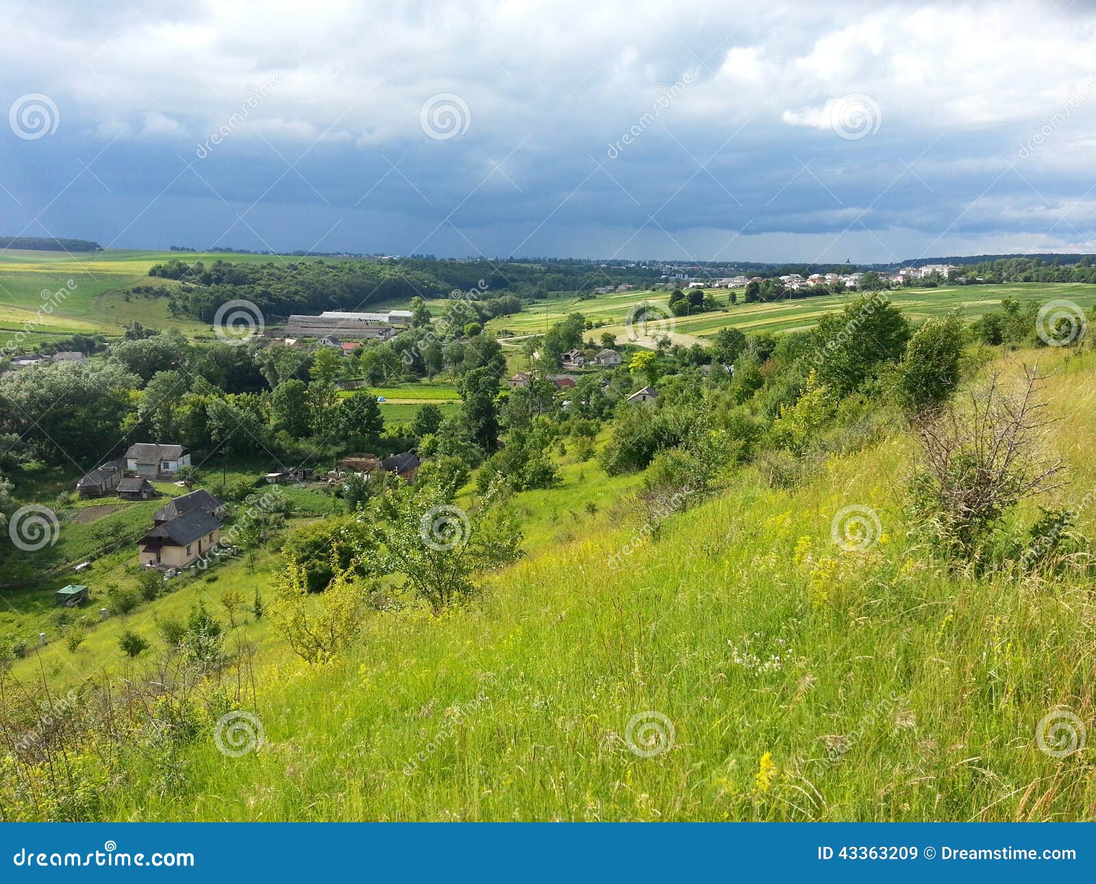 Ukrainian nature stock image. Image of meadow, ecosystem - 43363209