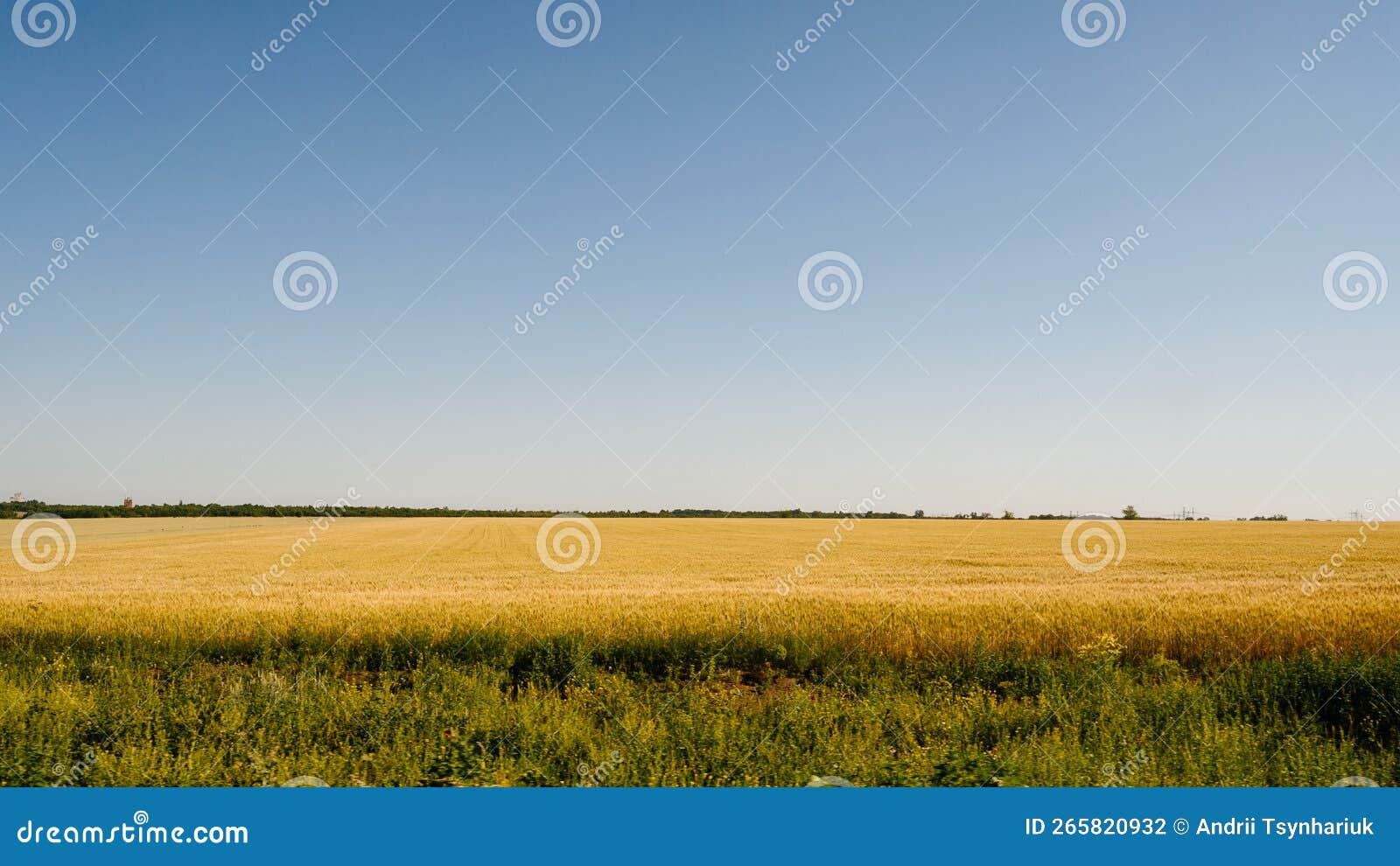 Ukrainian Peace Agricultural Fields in Its Central Part. Stock Photo ...