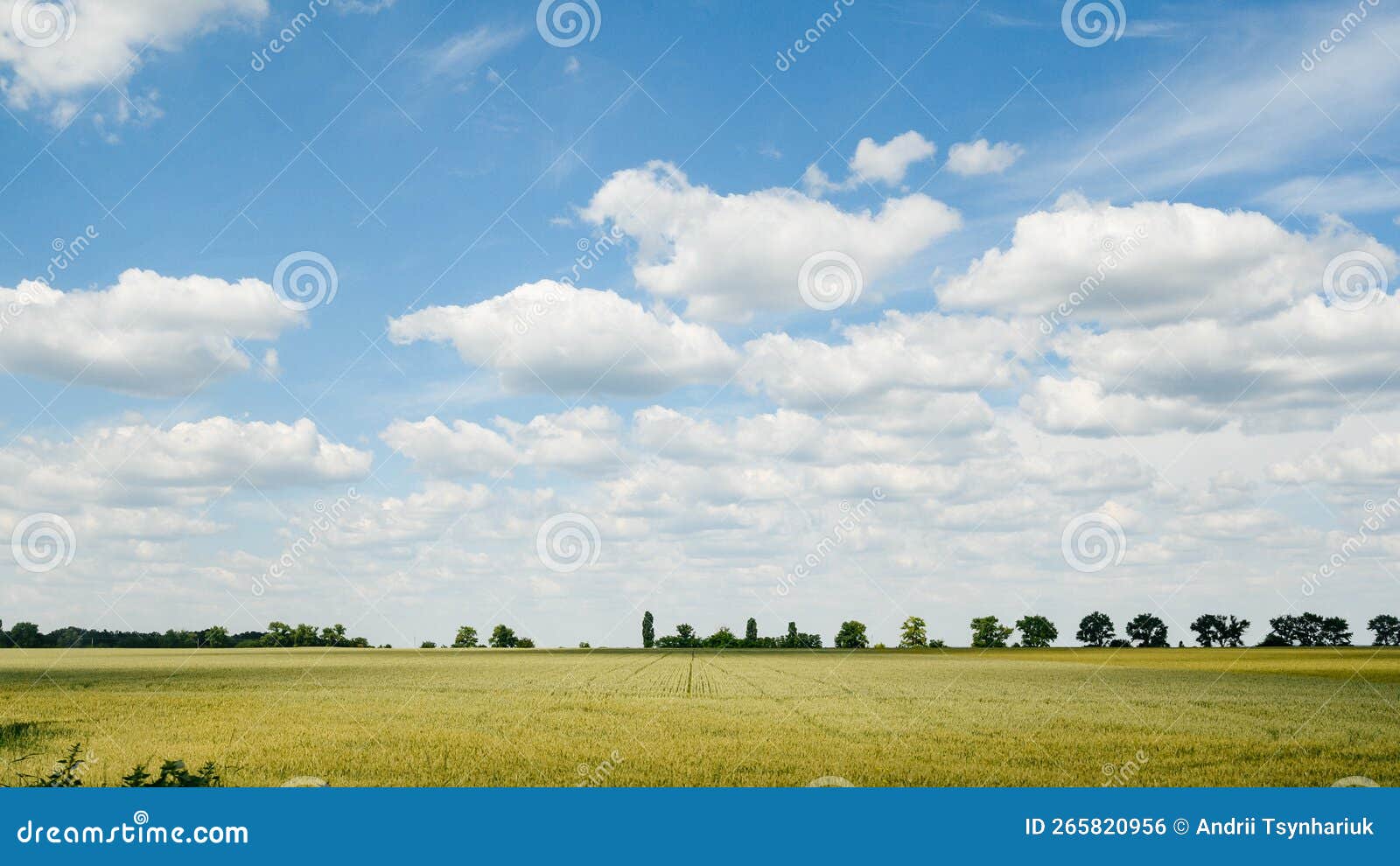 Ukrainian Peace Agricultural Fields in Its Central Part. Stock Photo ...