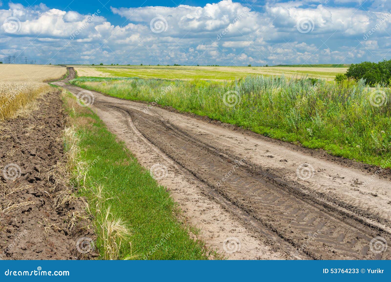 Ukrainian Summer Landscape with Corn Fields and Road Stock Image ...
