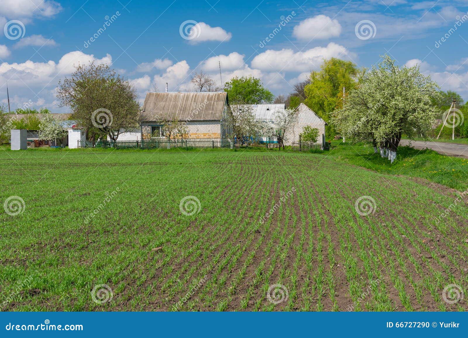 Ukrainian Village at Spring Season Stock Photo - Image of landscape ...