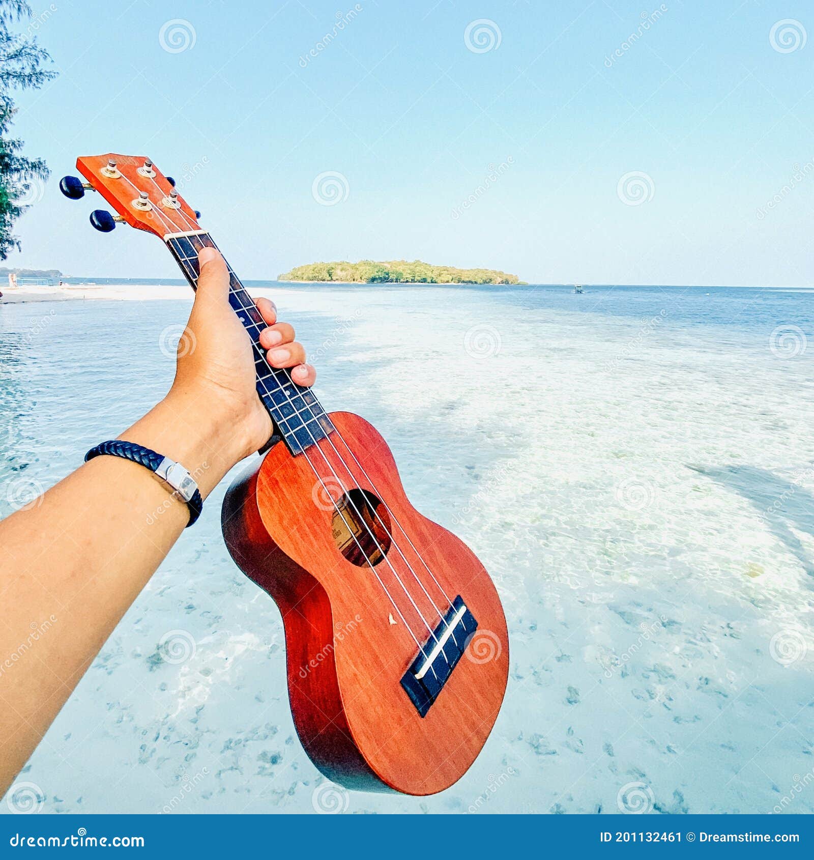 Ukulele on the Beach stock image. Image of beach, music - 201132461