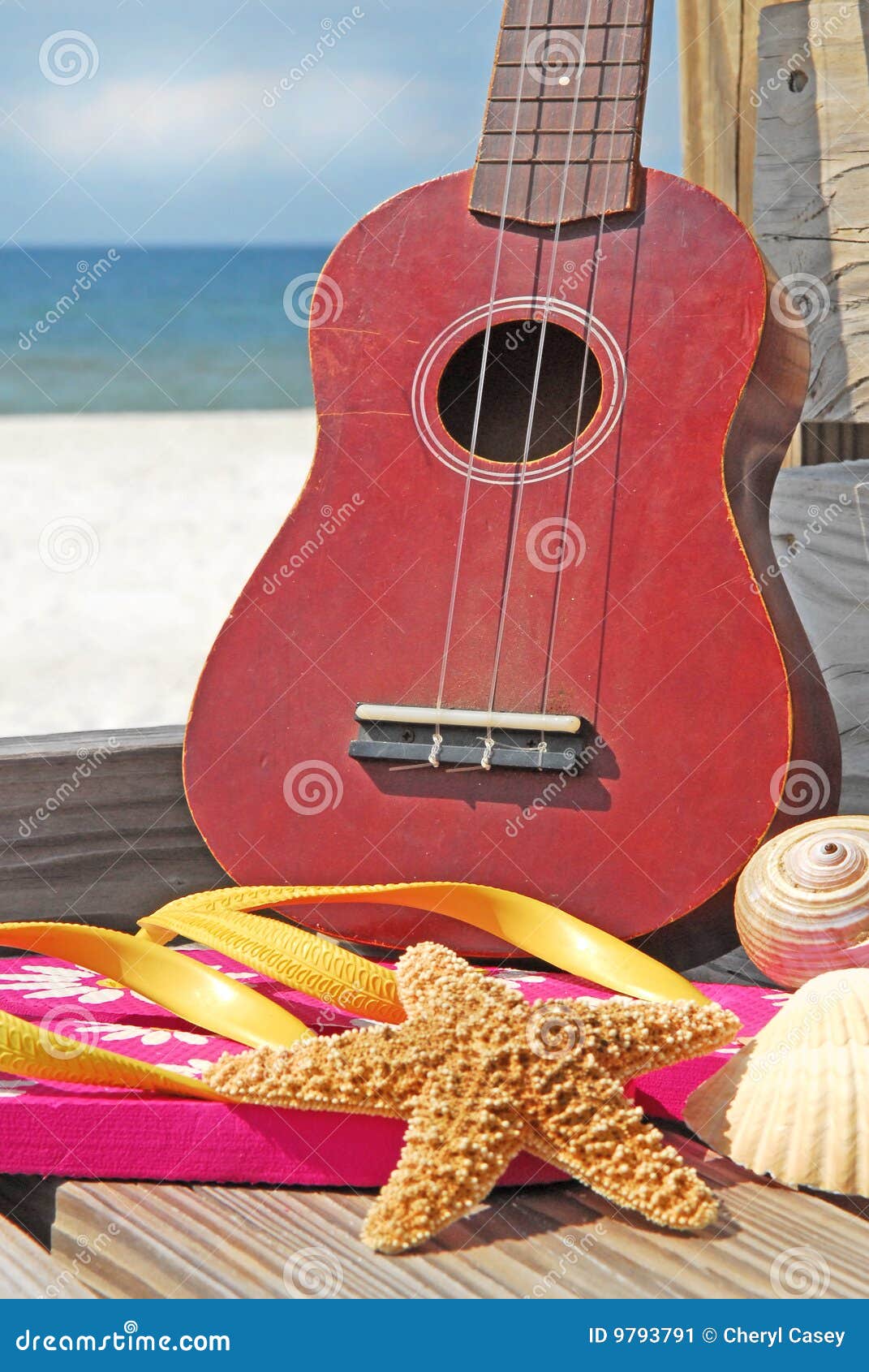 Ukulele and Beach Items at Seashore Stock Image - Image of gulf ...