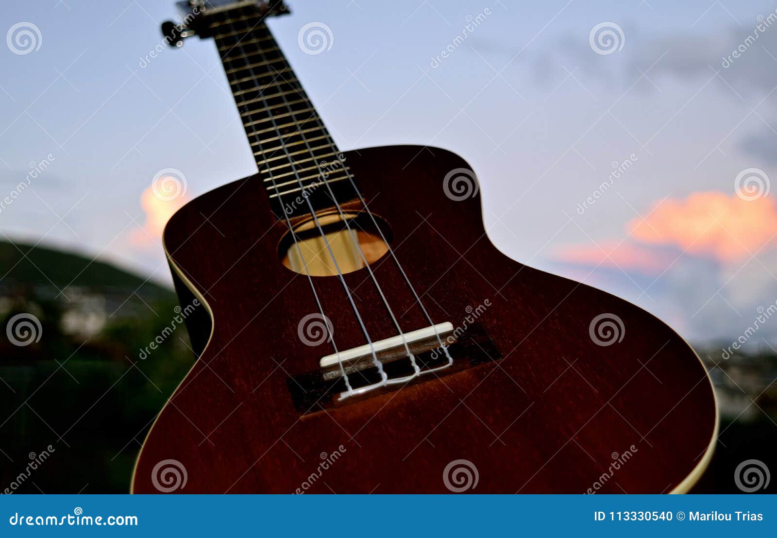 Ukulele Closeup stock photo. Image of fret, harmonizing - 113330540