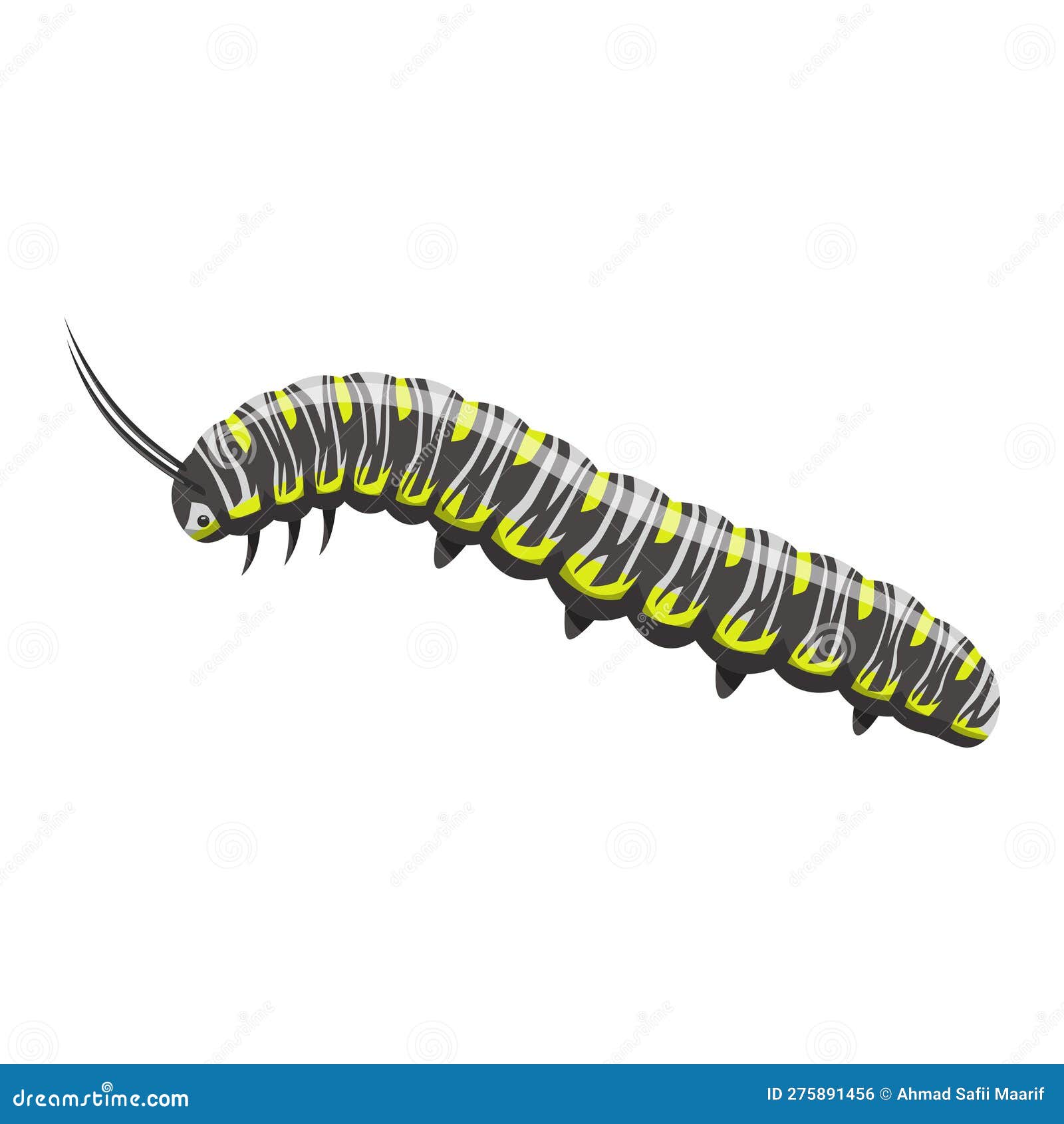 Caterpillar Vector Illustration. Realistic Animal Design Stock Vector ...