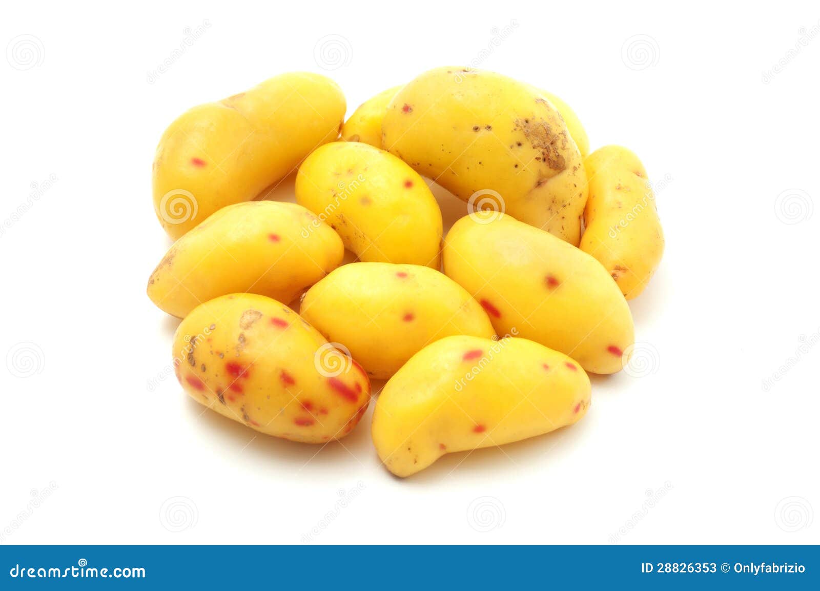 Ulluco image stock. Image du père, durée, toujours, patate - 28826353