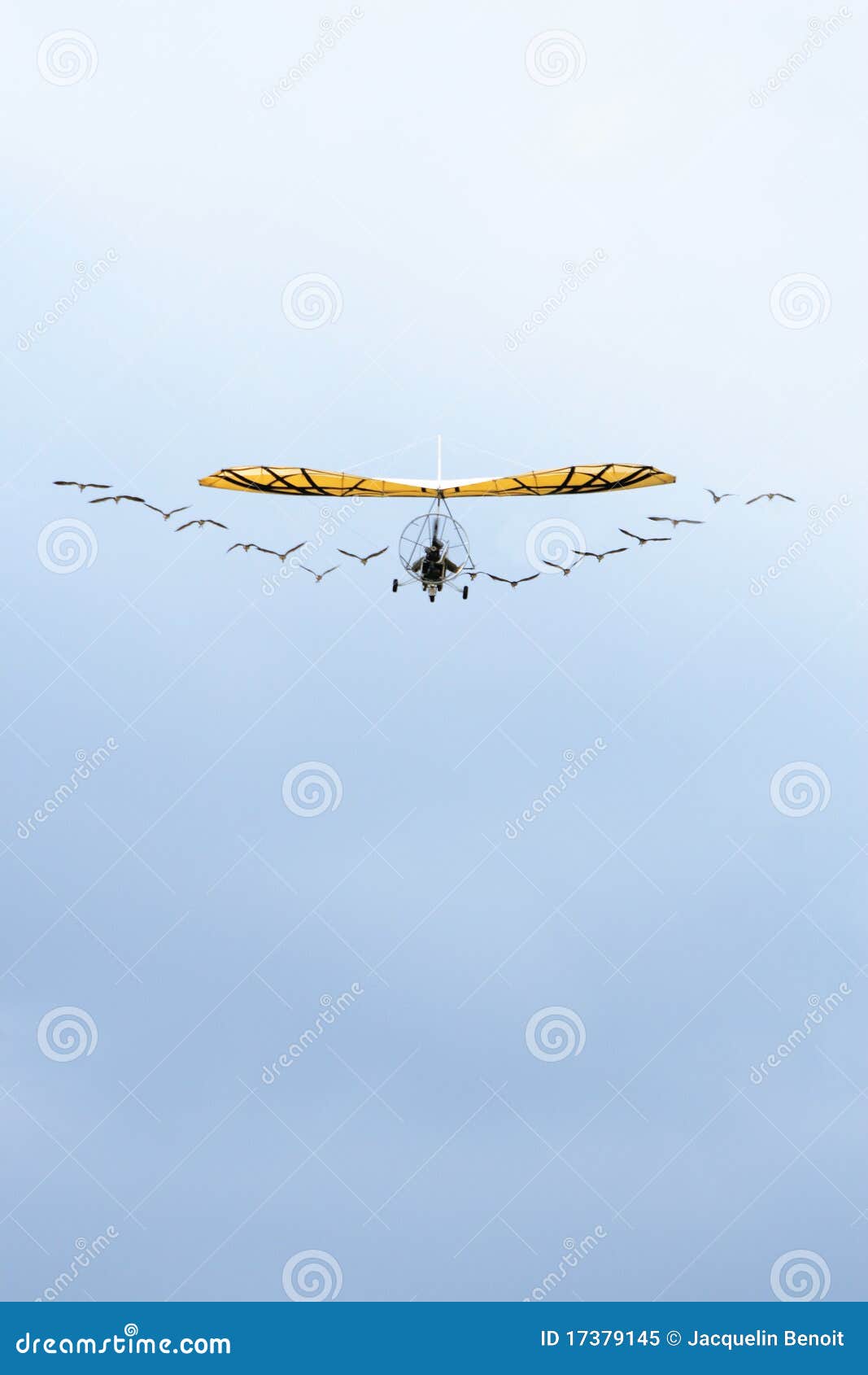 Ulm and bird in the sky stock image. Image of birds, plane - 17379145