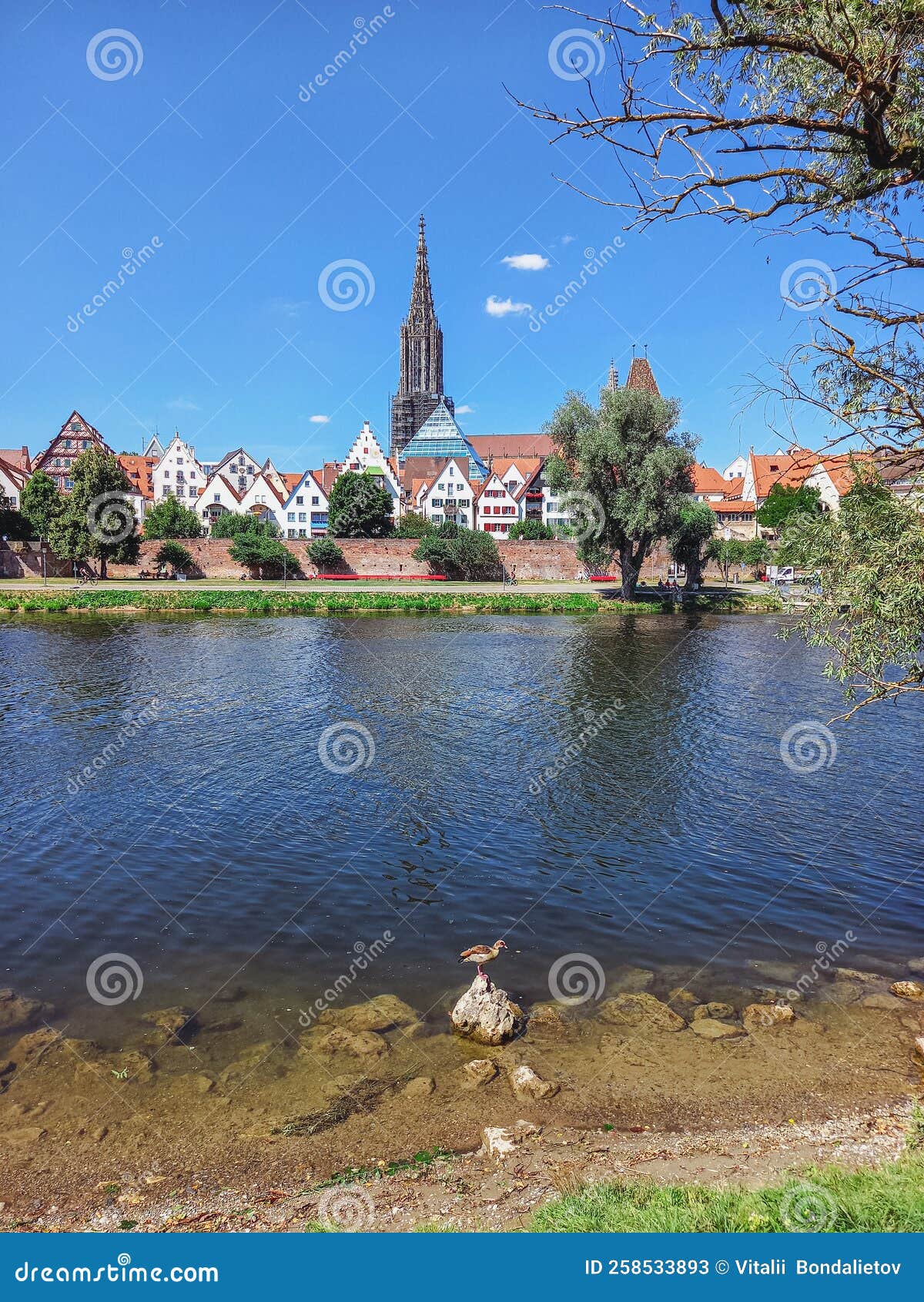 Ulm Minster is the Tallest Church of the World Stock Image - Image of ...