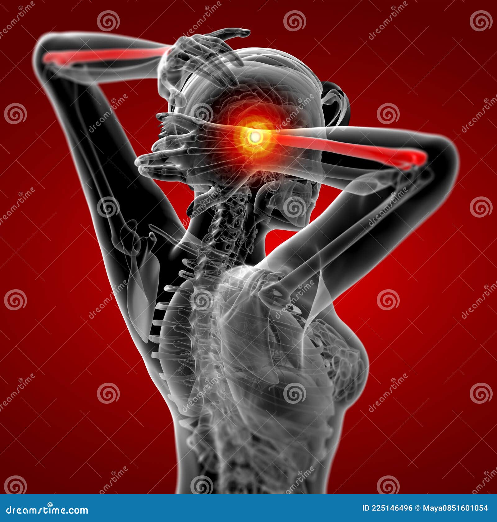 3d rendering of ulna bone stock illustration. Illustration of bone ...