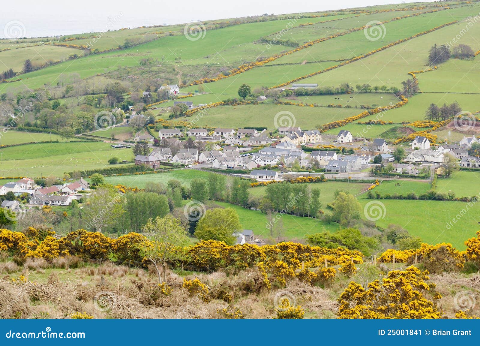 Ulster Village stock image. Image of ulster, ireland - 25001841