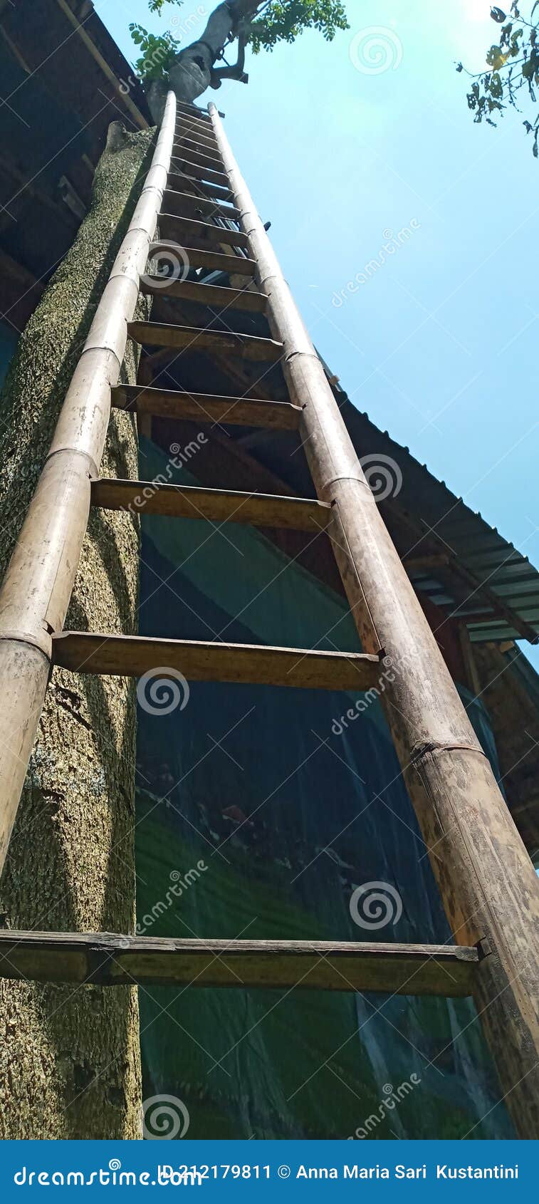 Ultimate bamboo ladder stock image. Image of ladder - 212179811