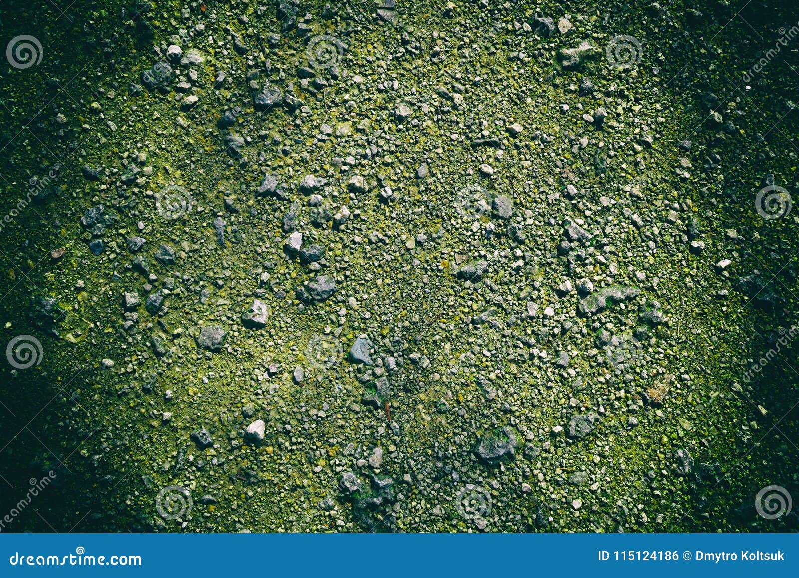 Ultra Green Ground Texture, Sand Surface, Stone Background, Good for ...