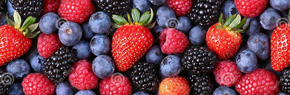 An Ultra-realistic Rendering of Fruits from the Forest Stock Photo ...