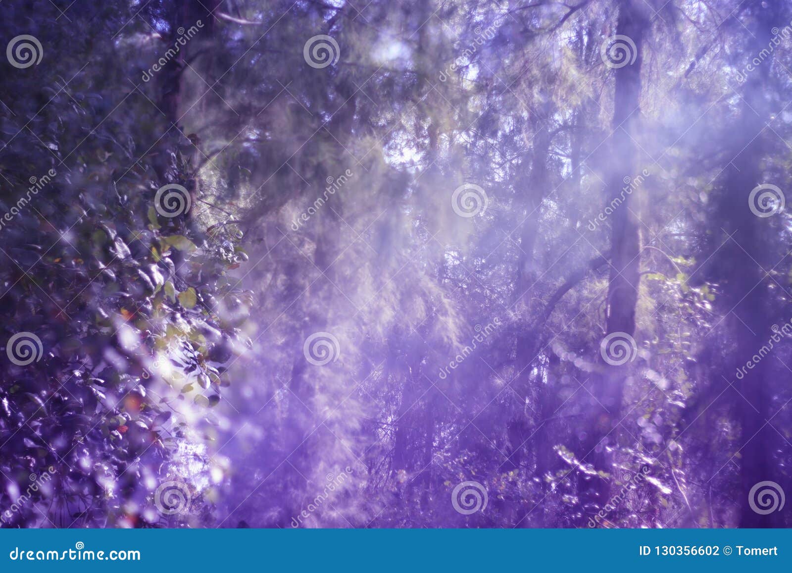 Ultra Violet Background Effect with Double Exposure and Abstract Trees ...