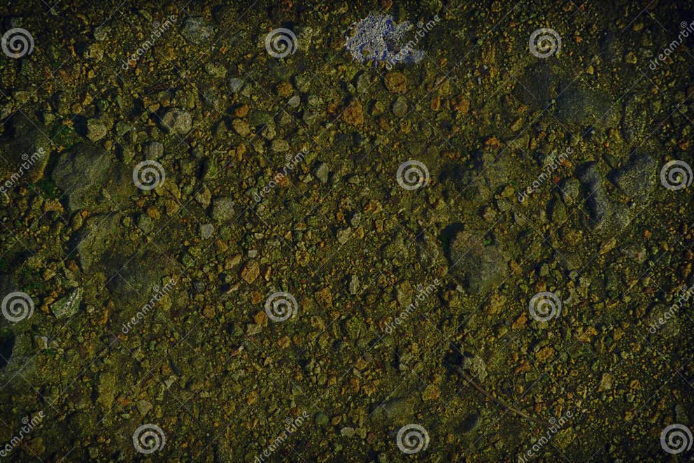 Ultra Yellow Ground Texture, Sand Surface, Stone Background, Good for ...