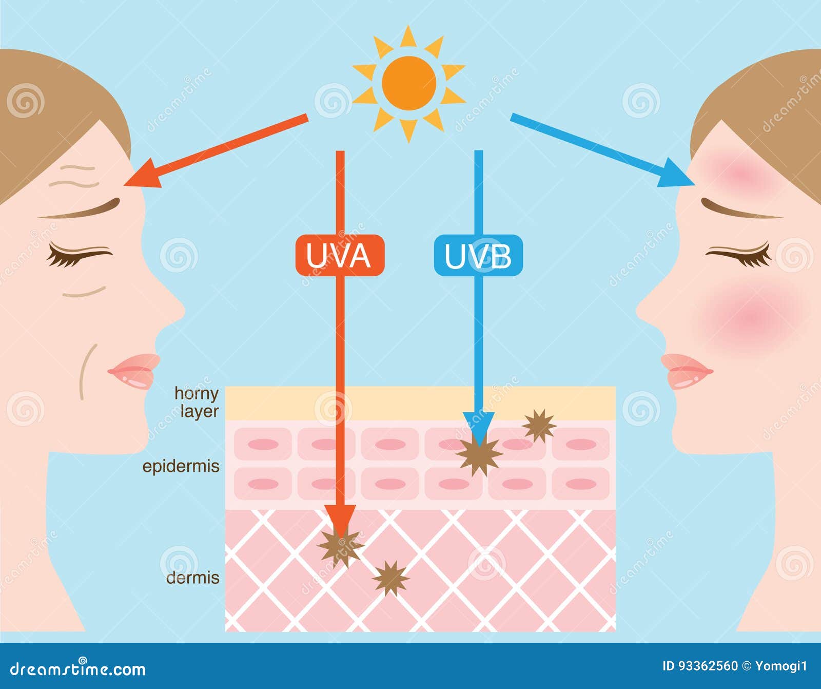 Ultraviolet a and Ultraviolet B Stock Vector - Illustration of rays ...