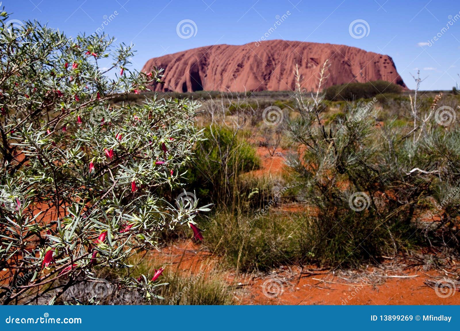 Uluru editorial stock image. Image of outback, uluru - 13899269