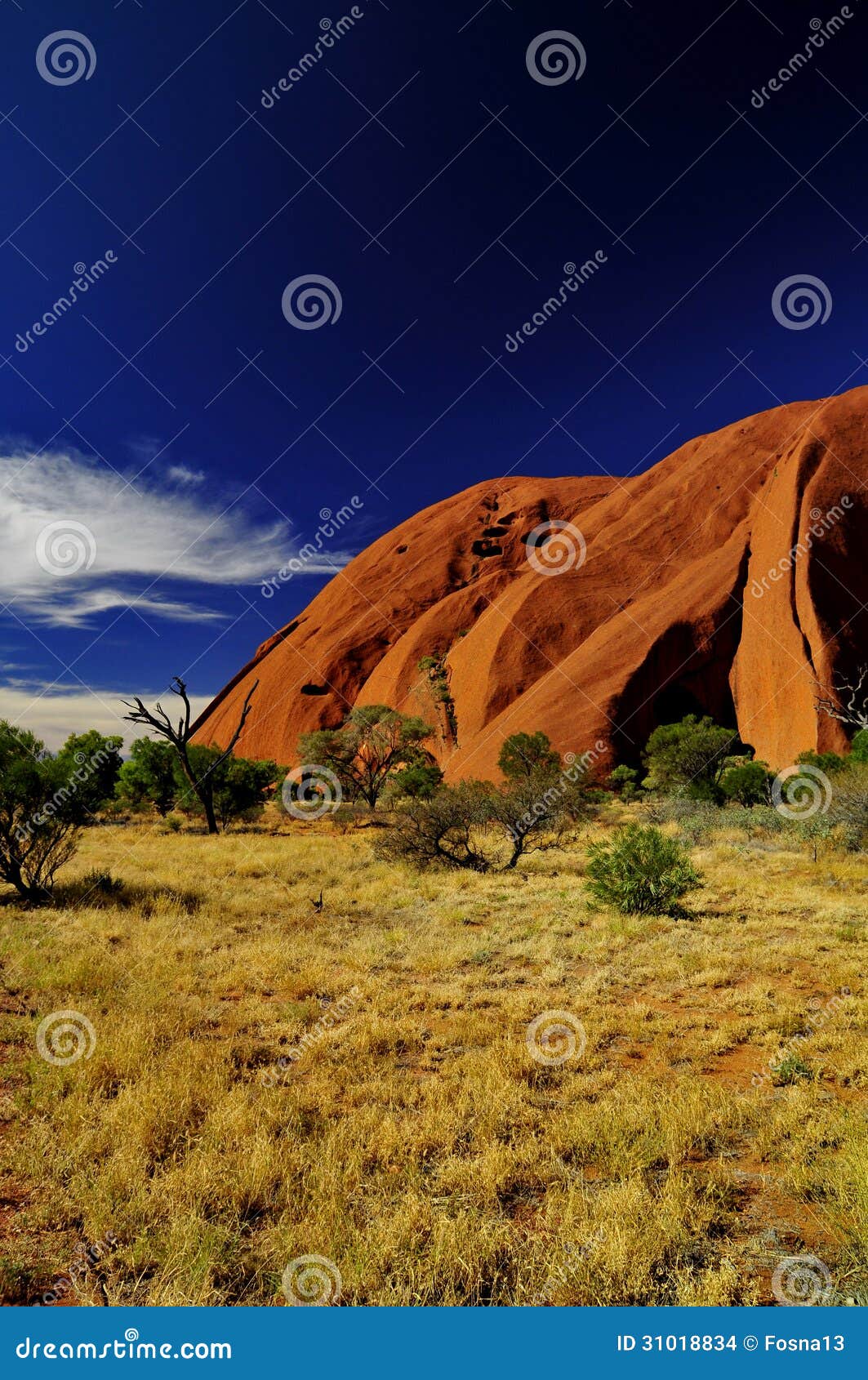 Uluru imagen de archivo editorial. Imagen de parque, paisaje - 31018834