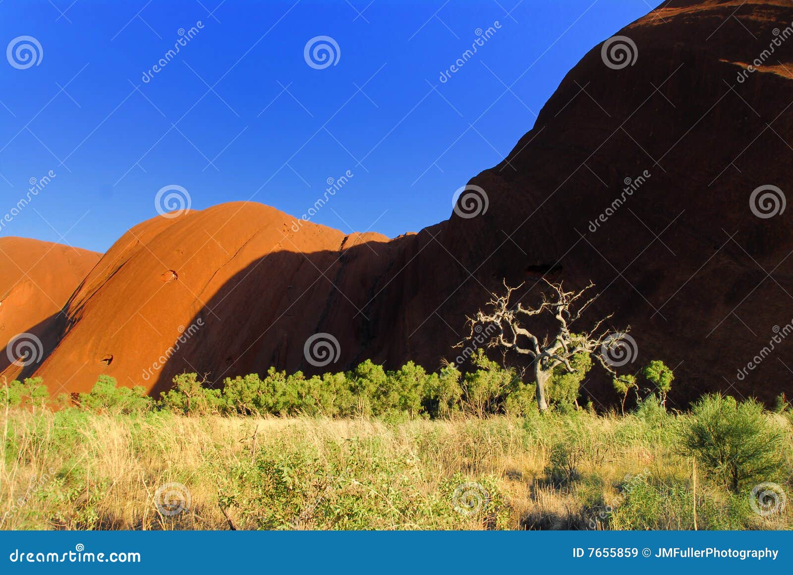Uluru Landscape Editorial Photo | CartoonDealer.com #7655859